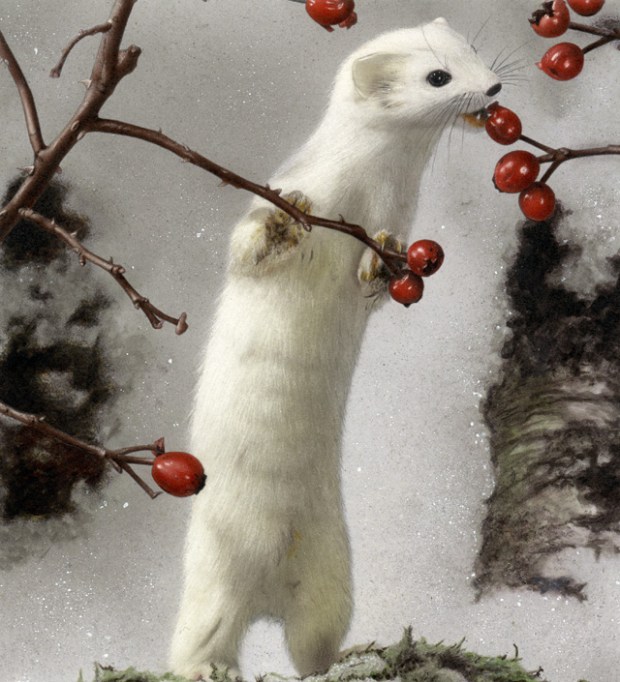 Da Vinci Season – Part 1: Norms do… The Lady with an Ermine | The Daily ...