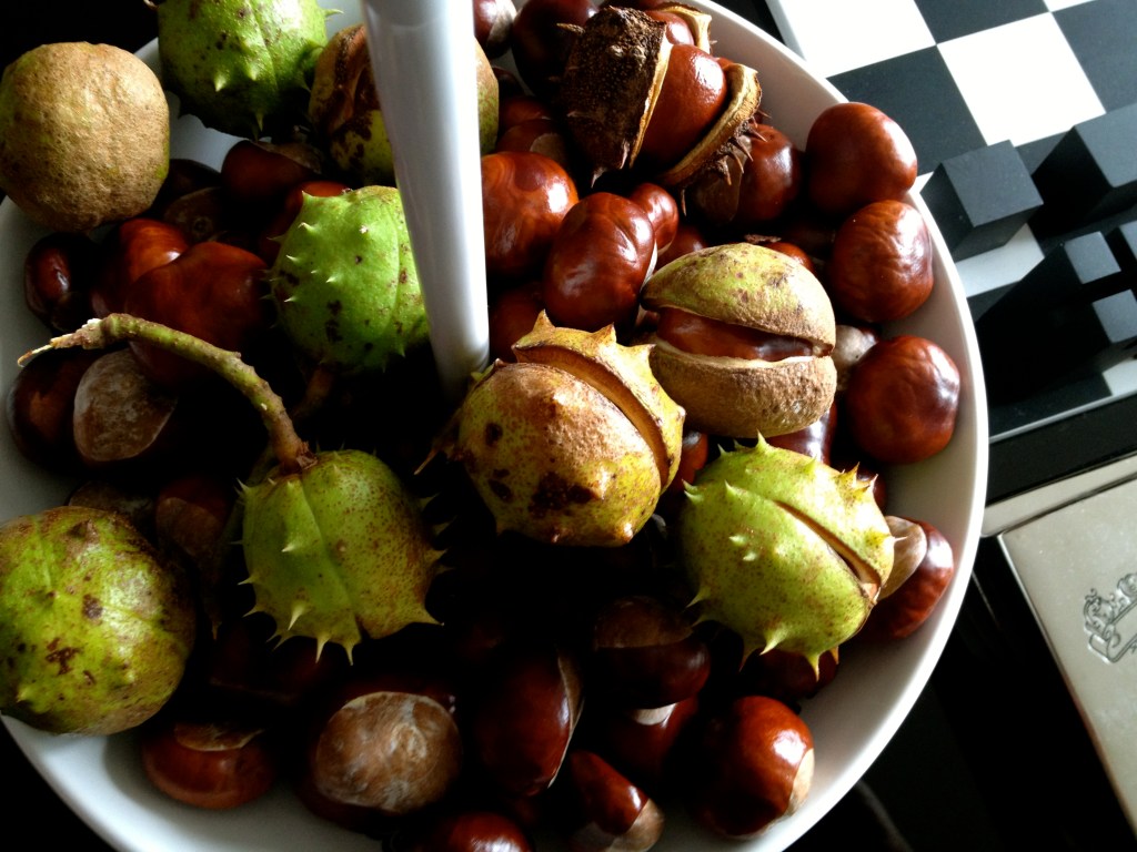Collecting conkers for a classy seasonal display | The Daily Norm