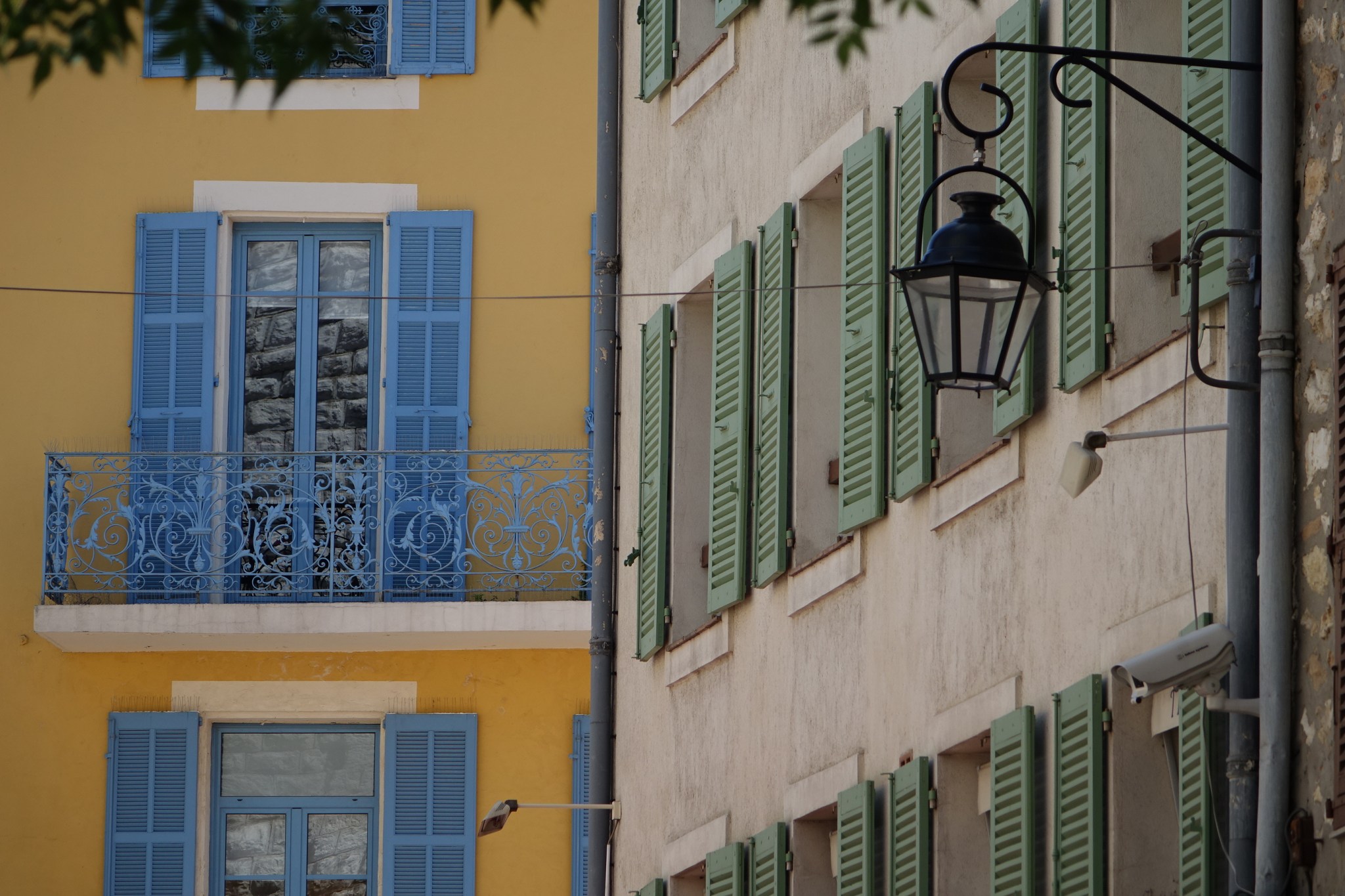 Matisse | The Daily Norm