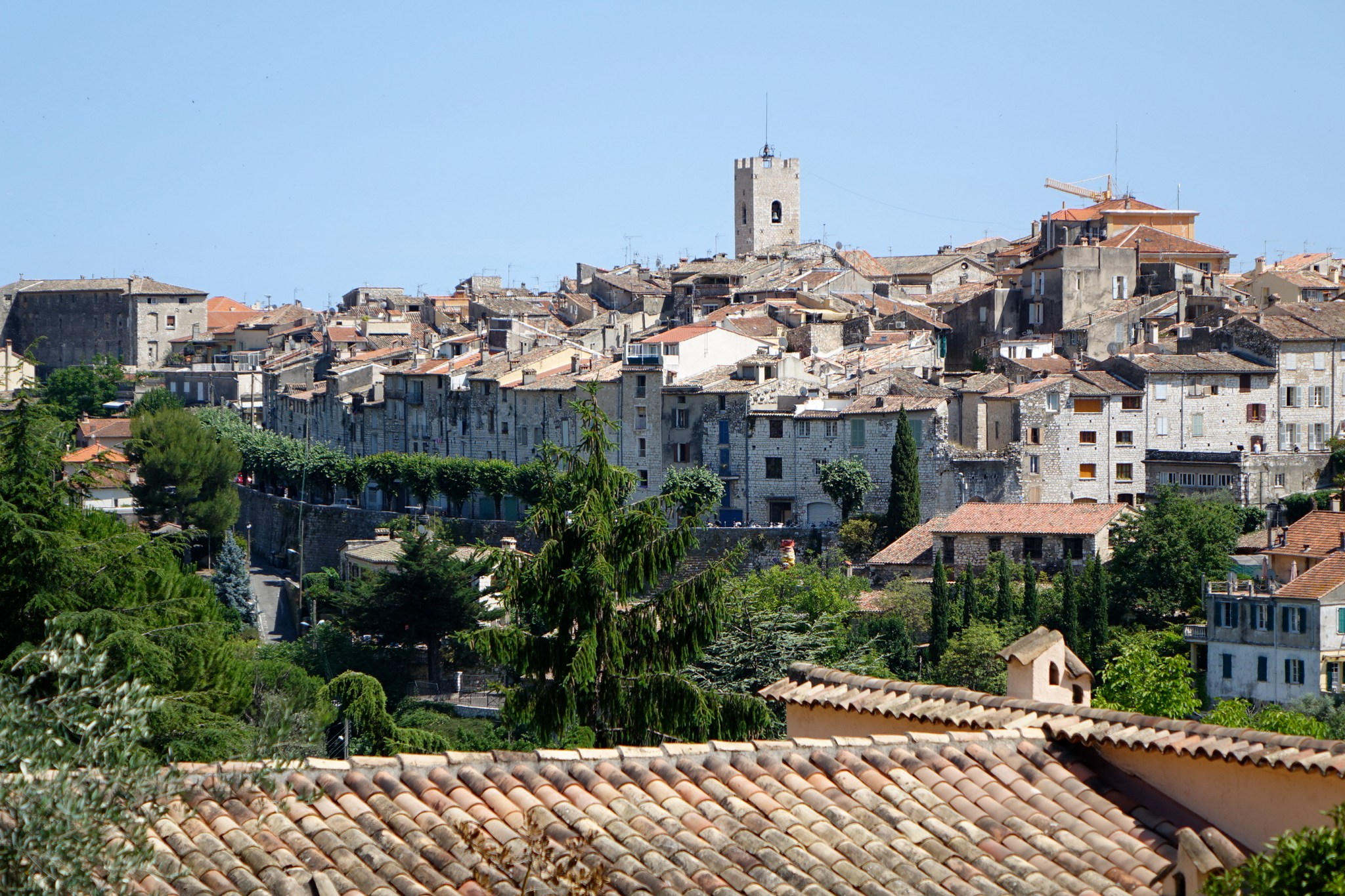 Matisse | The Daily Norm