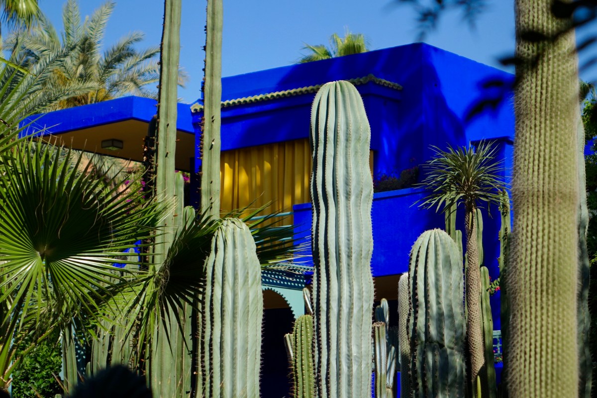 The Colours of Marrakech, Part 5: Majorelle Blue | The Daily Norm